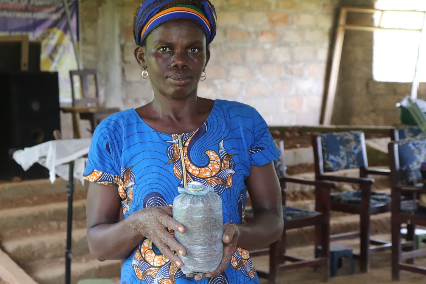 Creating livelihood options for climate-smart smallholder cocoa farmers ...